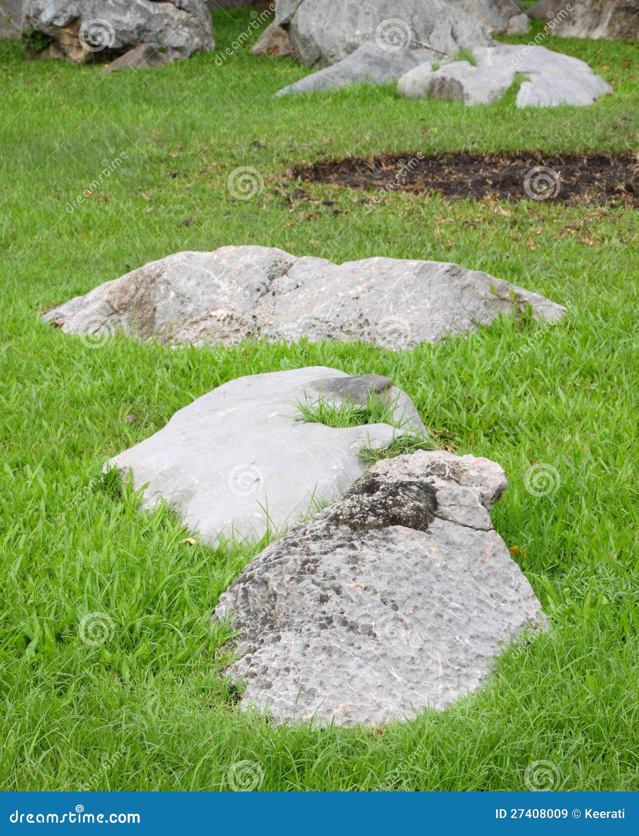 Rock on grass field stock image. Image of grass, agriculture - 27408009