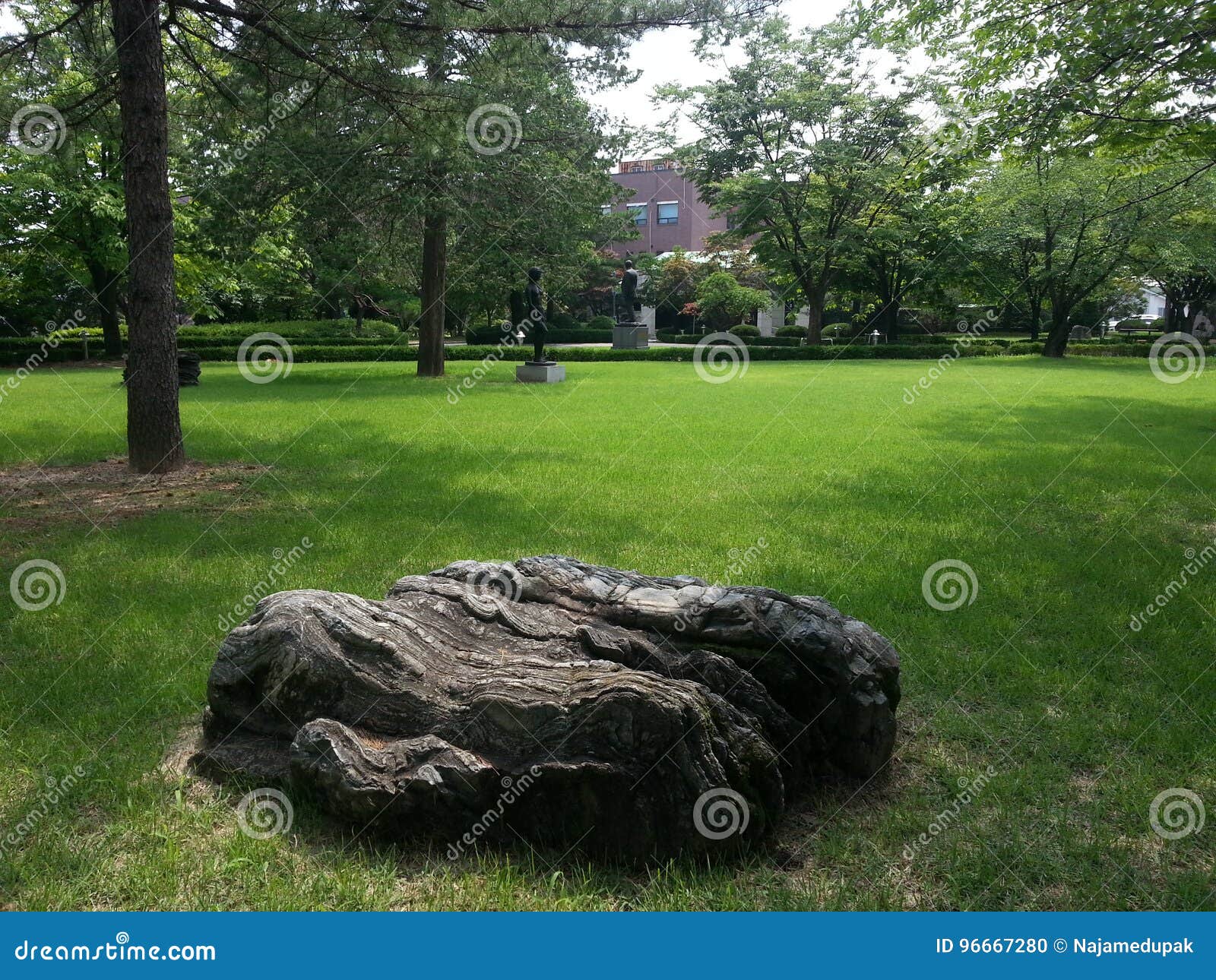 Rock on grasses in garden stock photo. Image of garden - 96667280