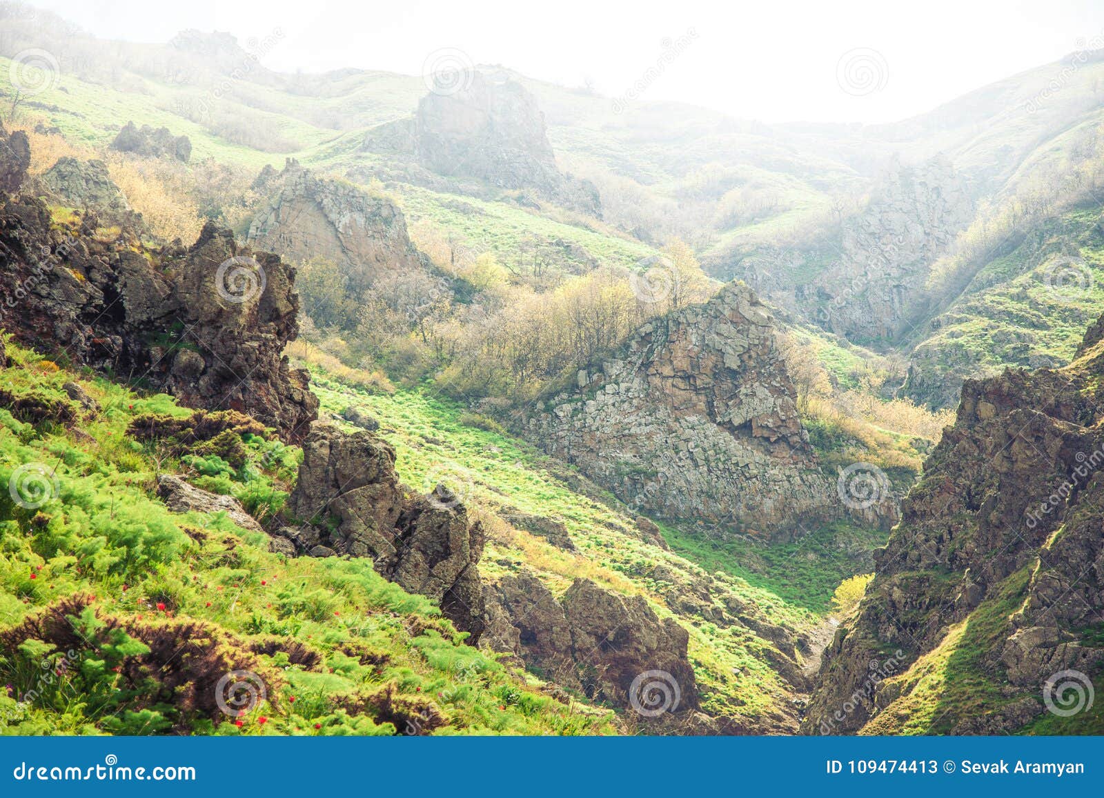 Rock in fielding stock image. Image of park, scenic - 109474413