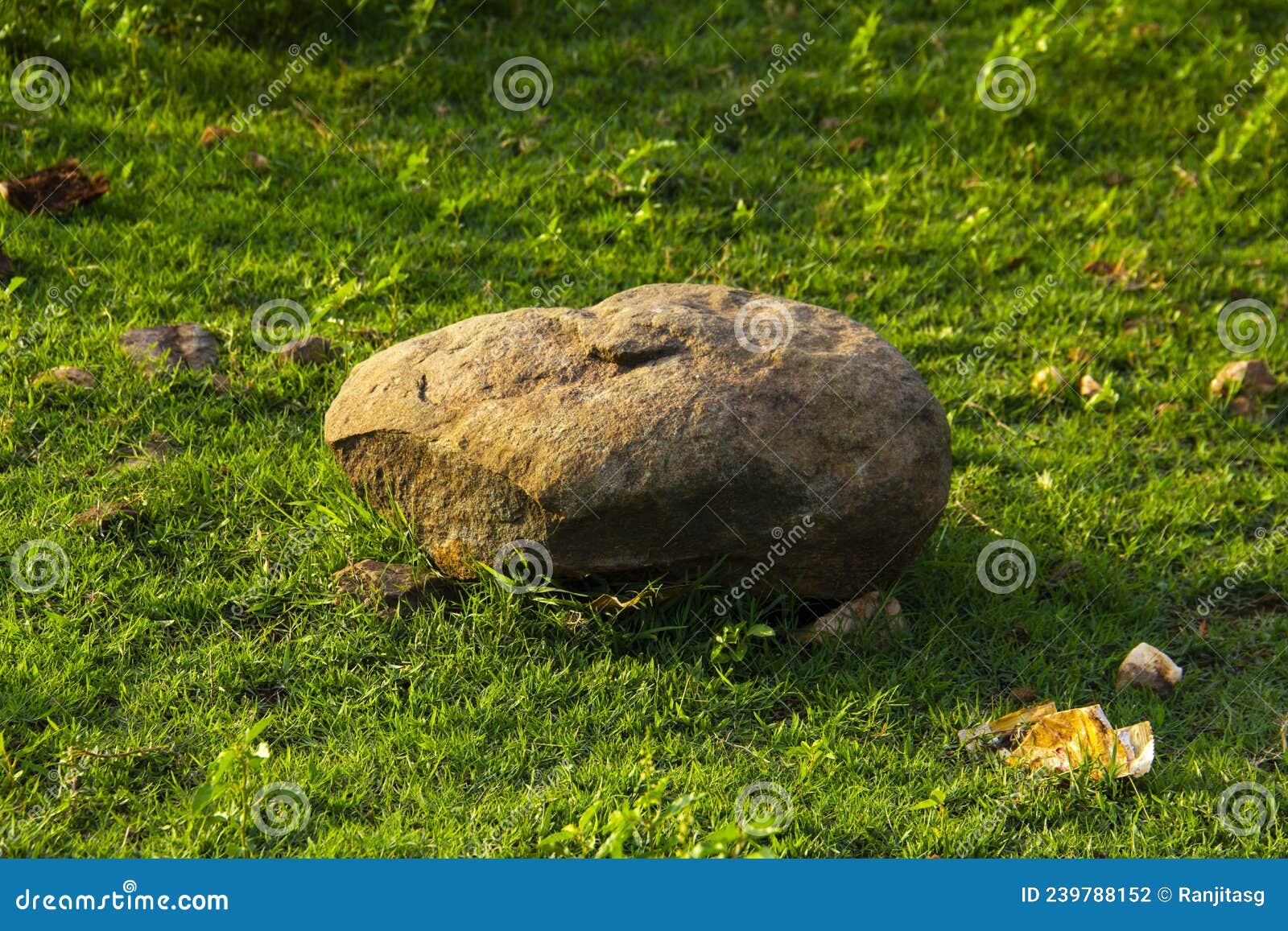 Rock on Green Grass, Lonely Rock on Grass Stock Photo - Image of yards ...