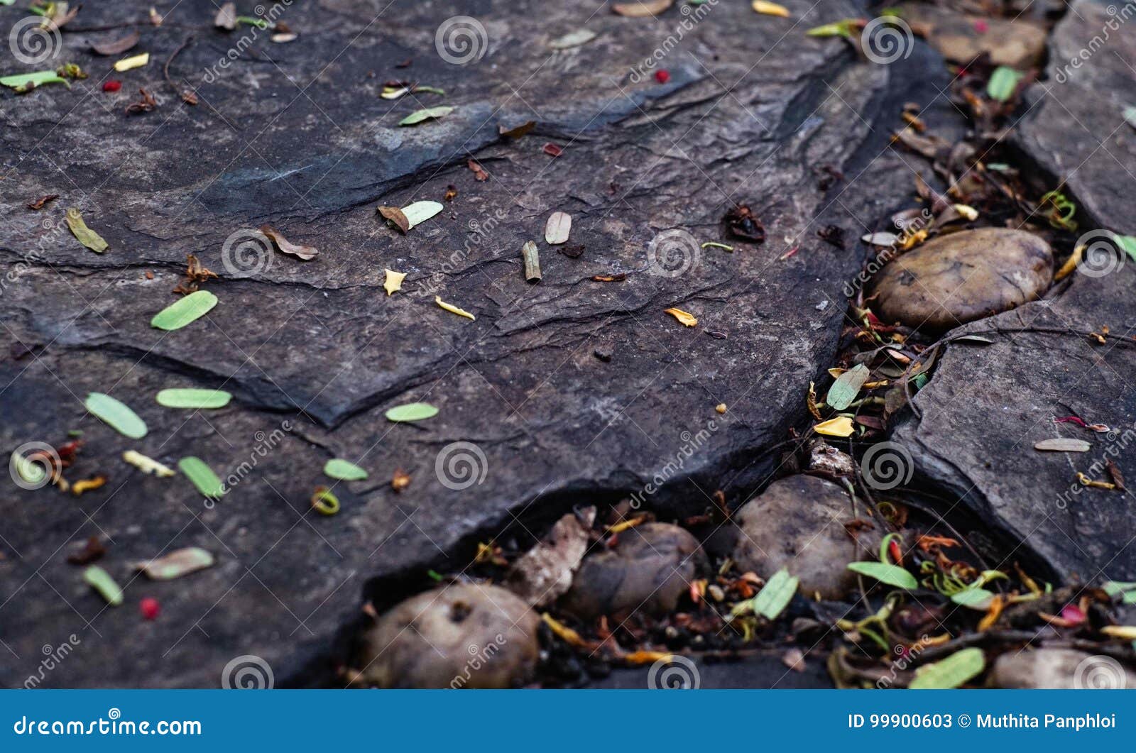 Rock on ground stock image. Image of rift, lines, pattern - 99900603