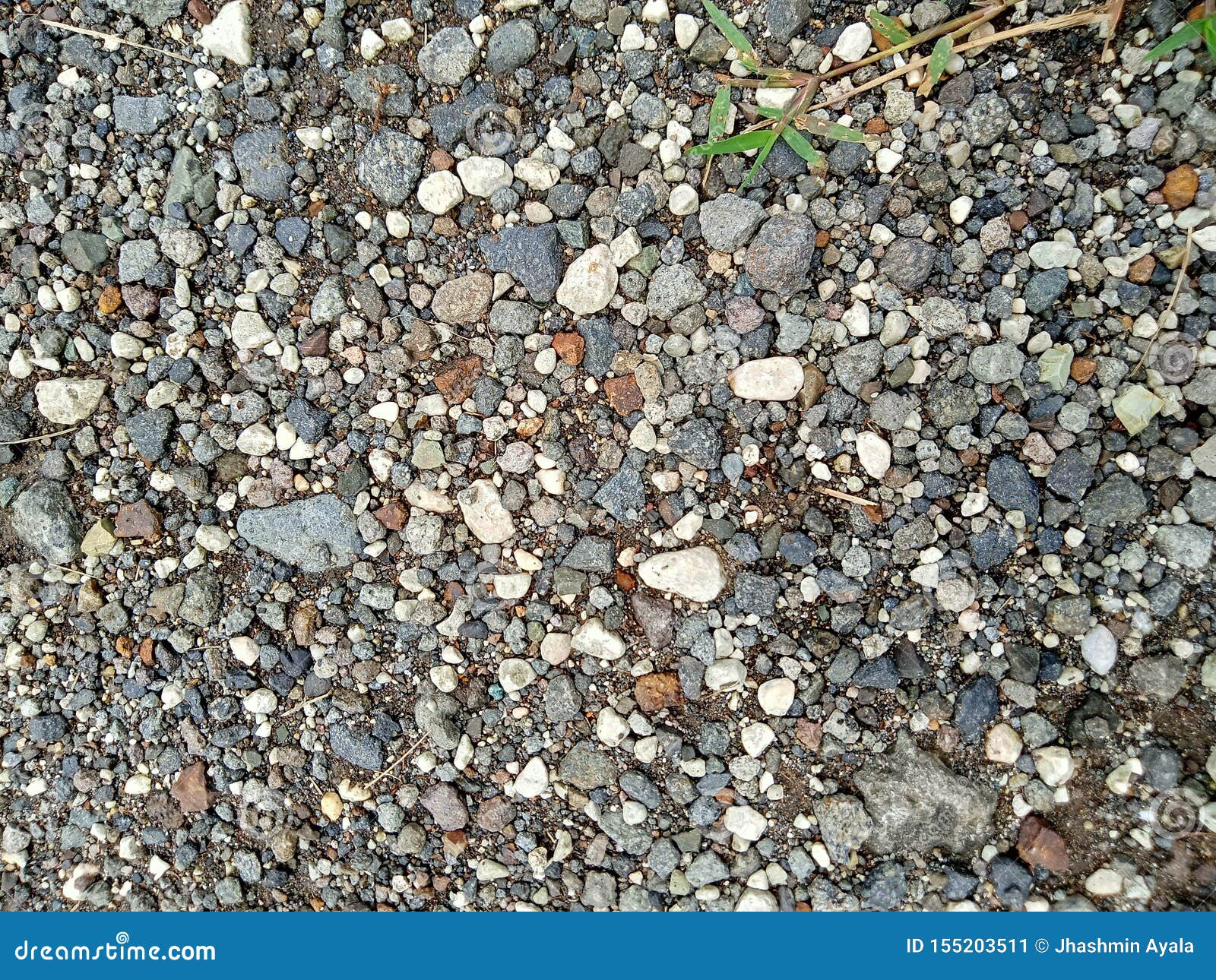 Rock on the ground stock image. Image of texture, rock - 155203511