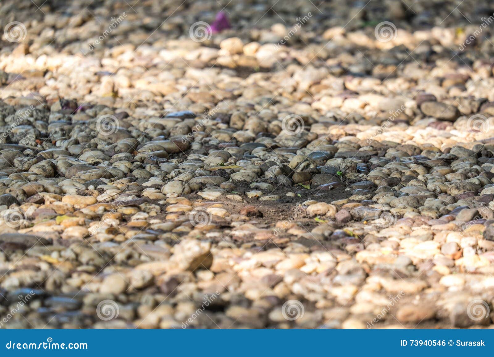 Rock on the ground stock photo. Image of asphalt, closeup - 73940546