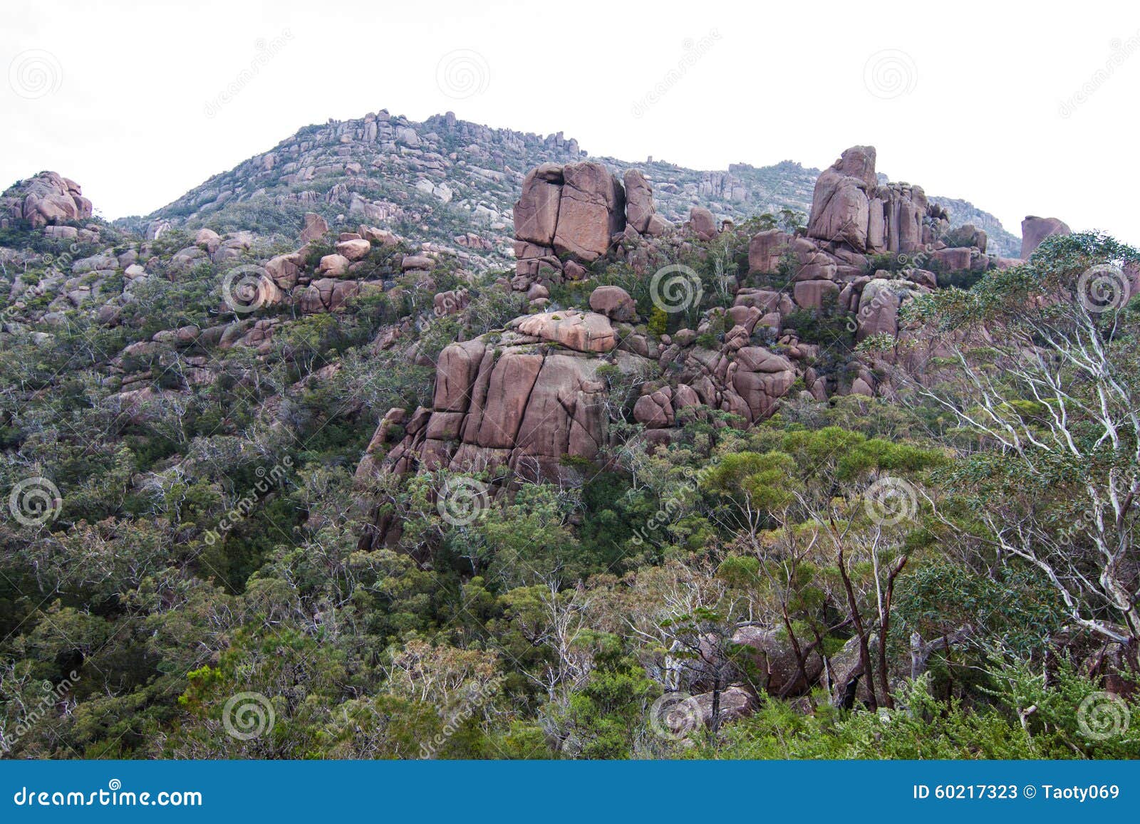 Rock ground stock image. Image of emptiness, rock, earth - 60217323