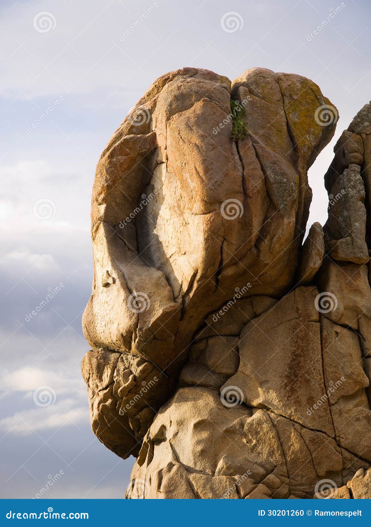 Rock with head shape stock photo. Image of shape, stone - 30201260