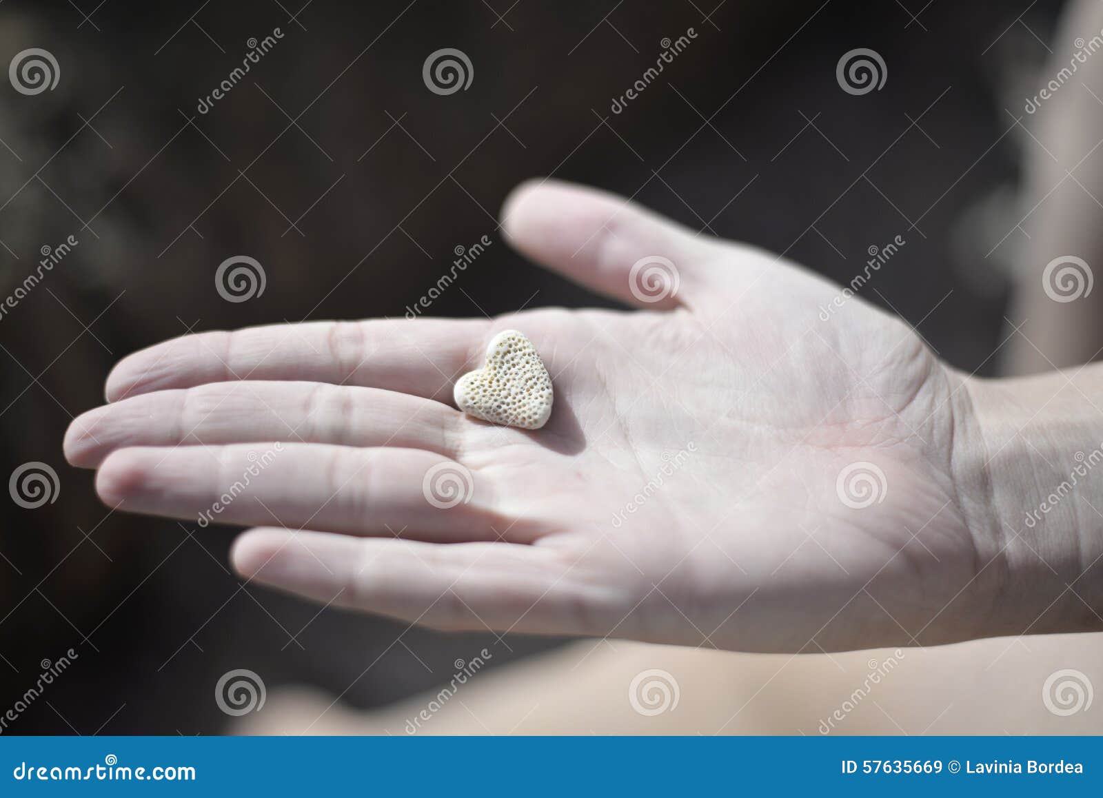 Rock heart stock image. Image of postcard, hands, couple - 57635669