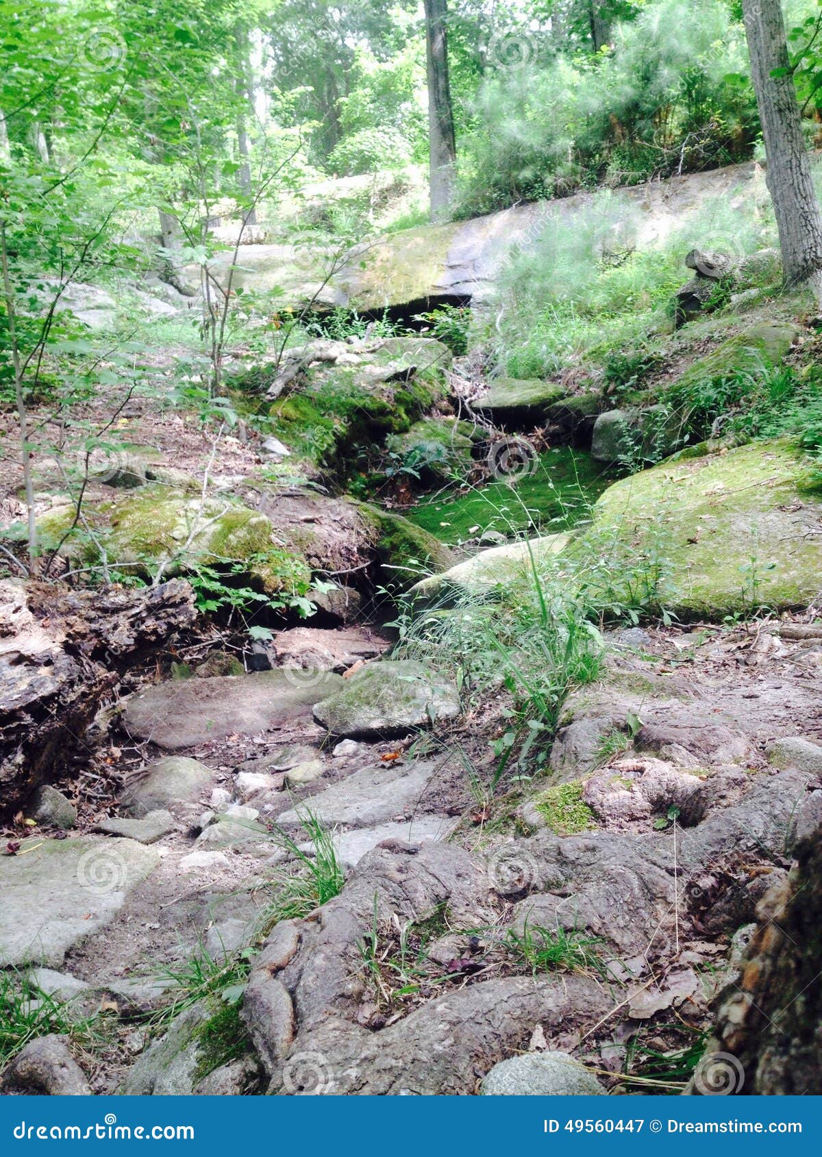 Rock Hillside editorial photography. Image of rocks, hill - 49560447