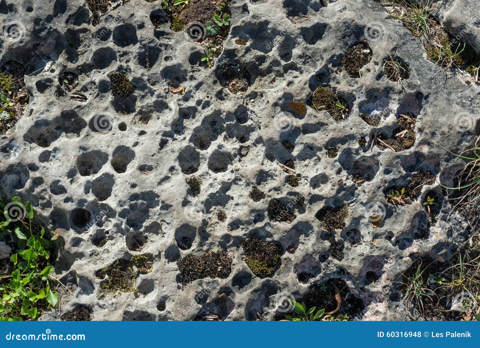 Rock with holes stock photo. Image of damaged, close - 60316948