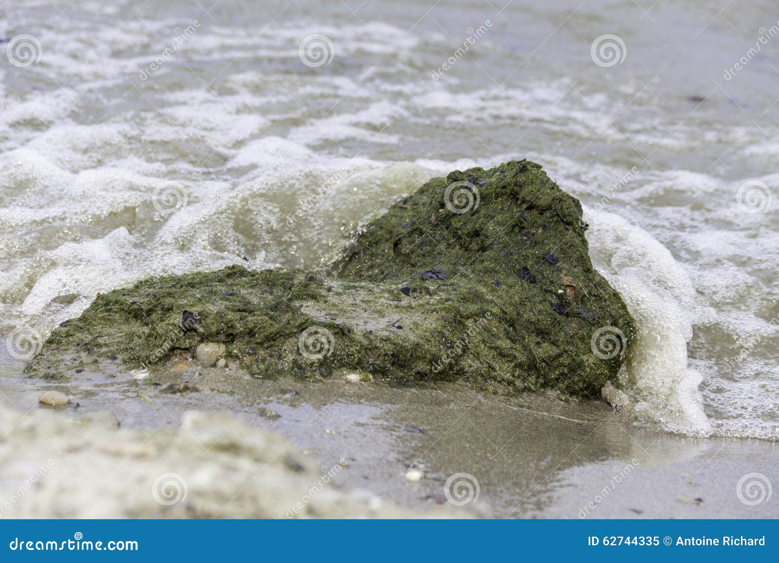 Rock immerse foam stock image. Image of scum, beach, nature - 62744335