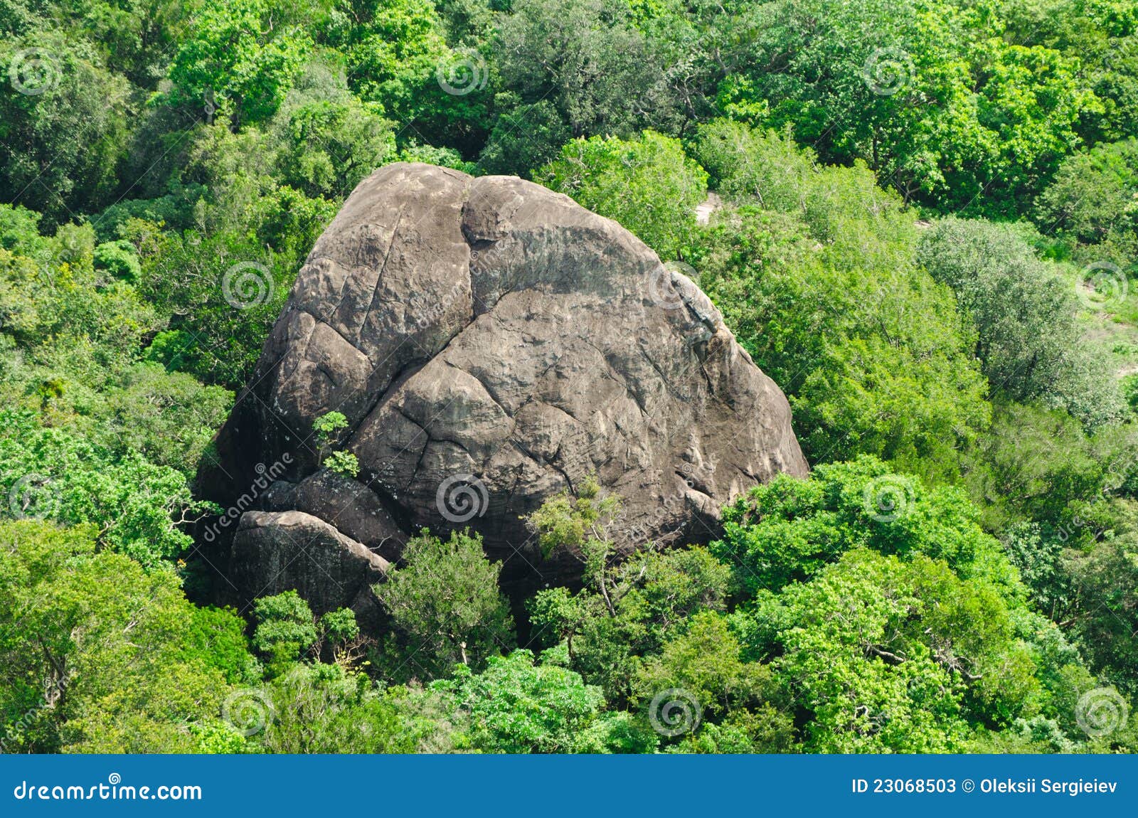 Rock in the jungle stock image. Image of scenic, mountain - 23068503
