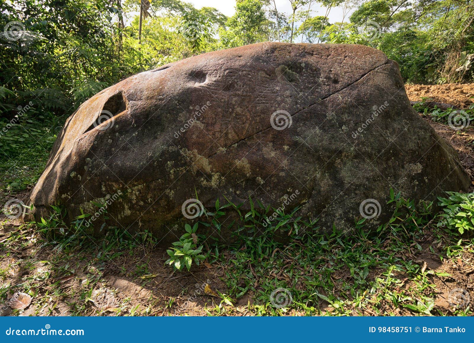 Rock in the Jungle with Petroglyph Stock Image - Image of large ...