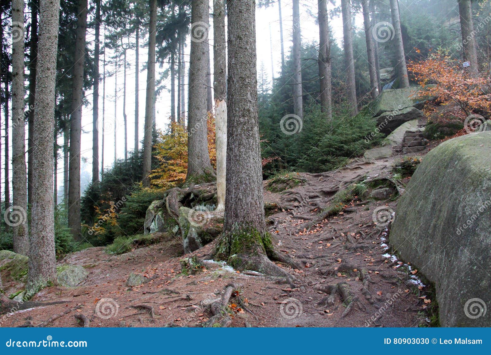 Rock stock photo. Image of season, labyrinth, luisenburg - 80903030