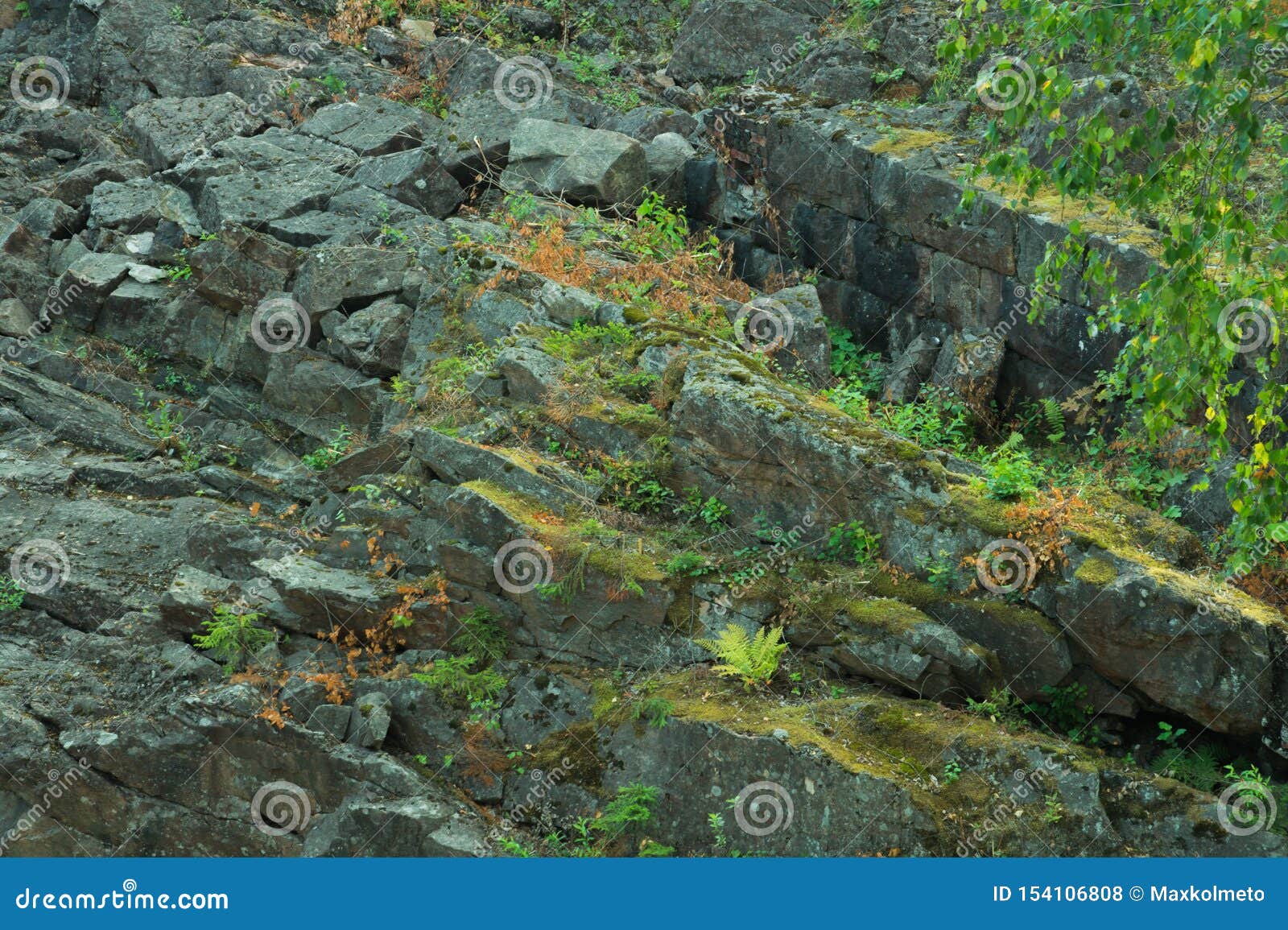 Rock of Layered Stone Overgrown with Grass and Moss. Texture of Stone ...