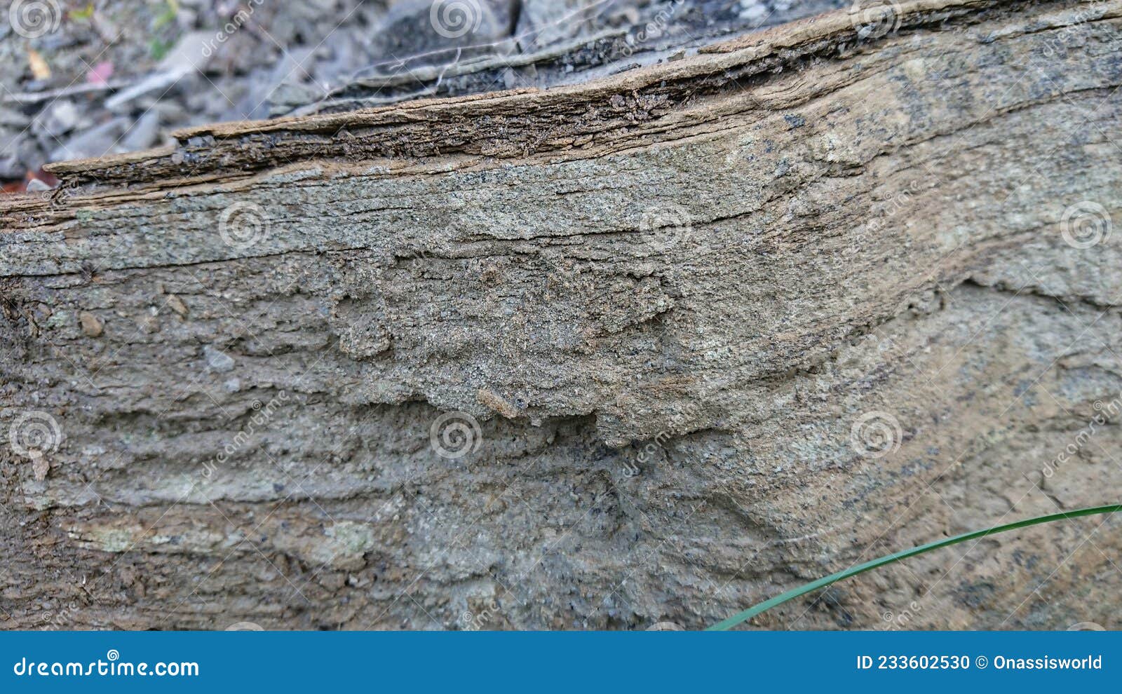 Rock Layers Closeup stock photo. Image of stone, layers - 233602530
