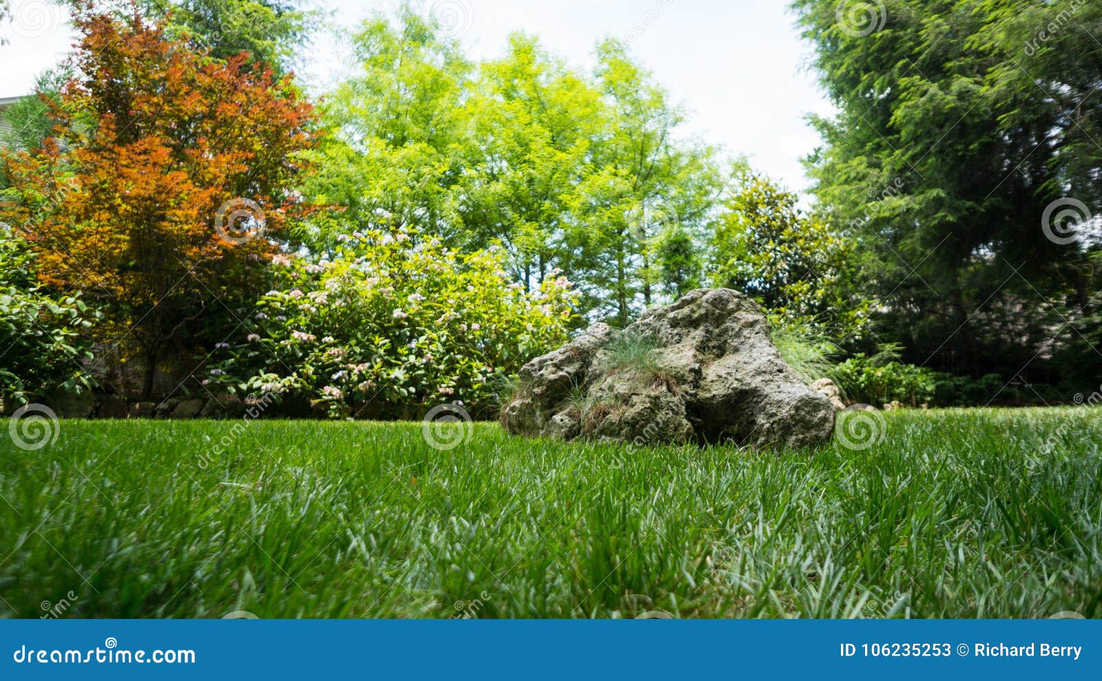 Rock in the grass stock image. Image of tennessee, states - 106235253