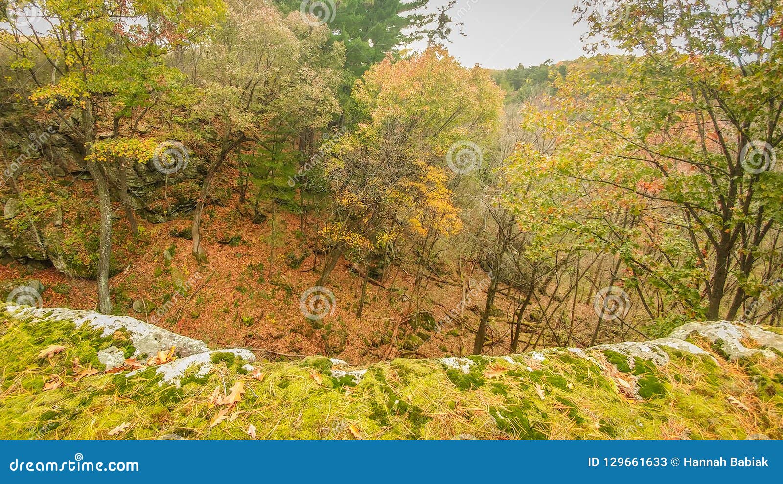 Rock Ledge with Scenic Drop Off Stock Image - Image of scenic ...