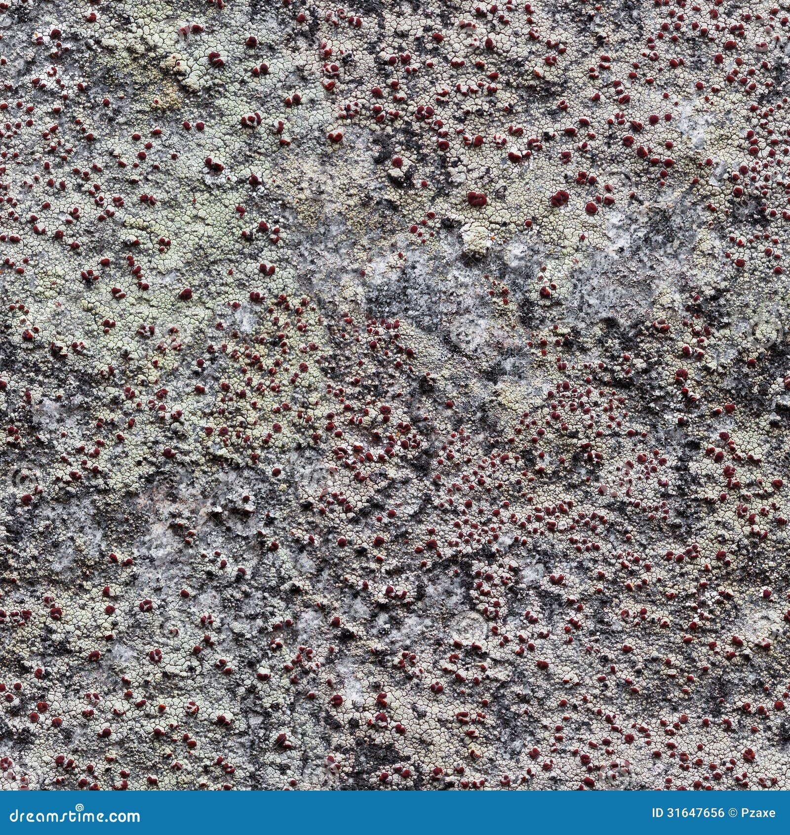 Rock with Lichen Seamless Pattern for Design Stock Photo - Image of ...