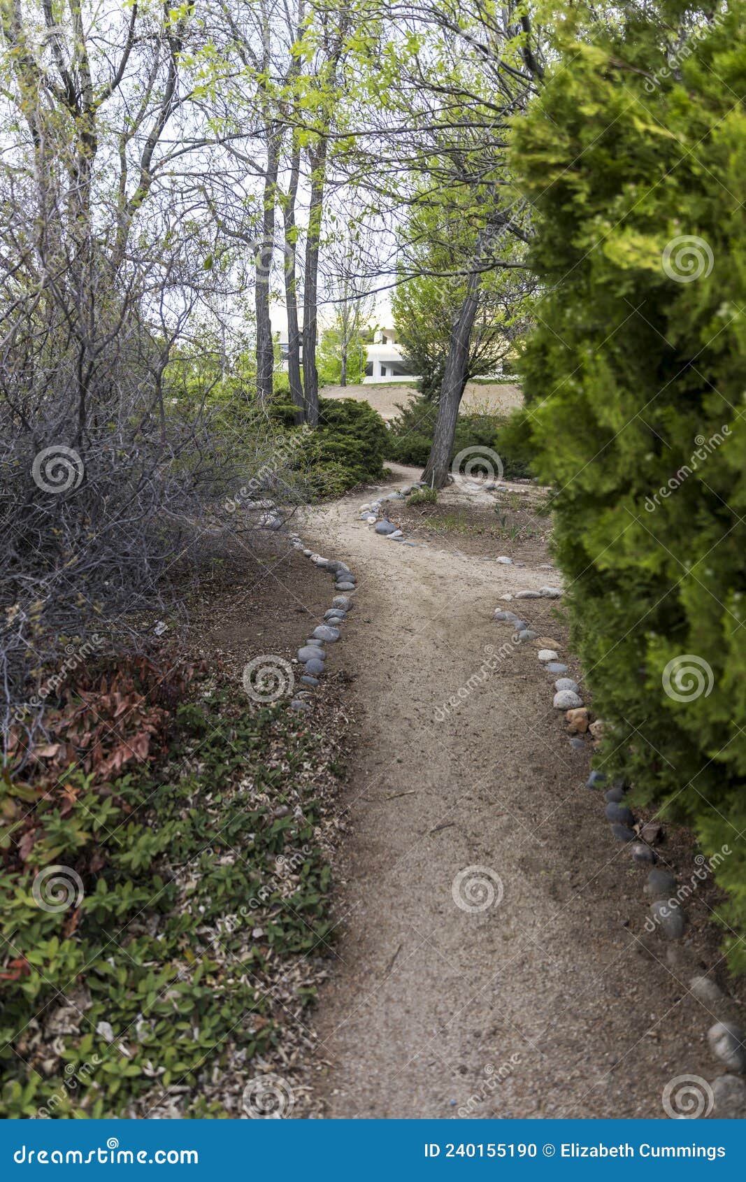 Rock Lined Path through Trees in a Park Stock Photo - Image of rocks ...