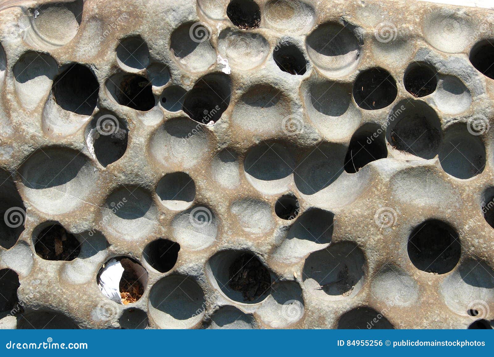 Rock With Little Holes Picture. Image: 84955256