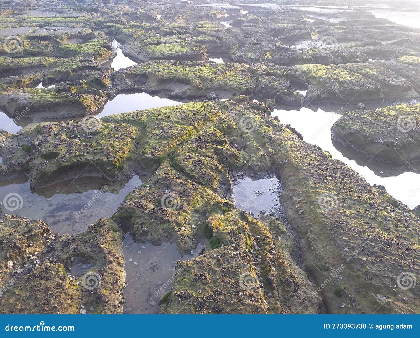 The Rock on Lorena Beach in the Village of Paciran Lamongan Stock Photo ...
