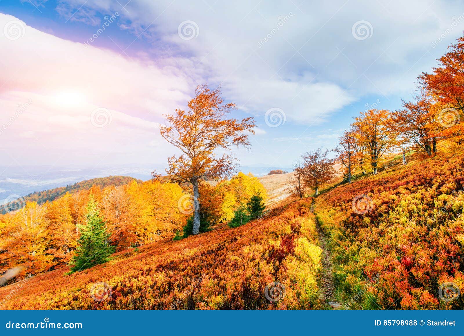 Rock Massif in the Carpathians. Stock Photo - Image of dawn, scenic ...