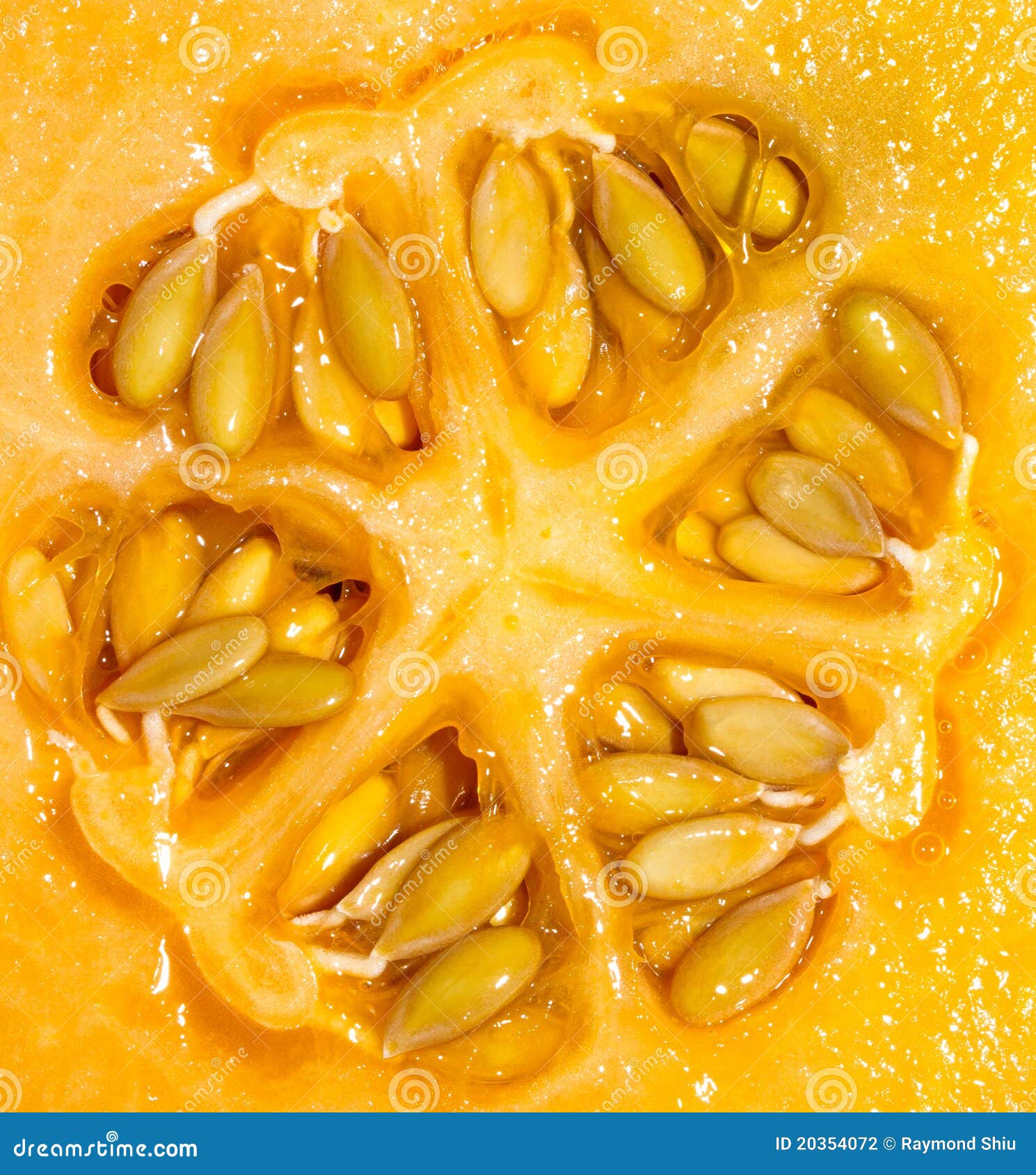 Rock Melon stock photo. Image of melon, healthy, seeds - 20354072