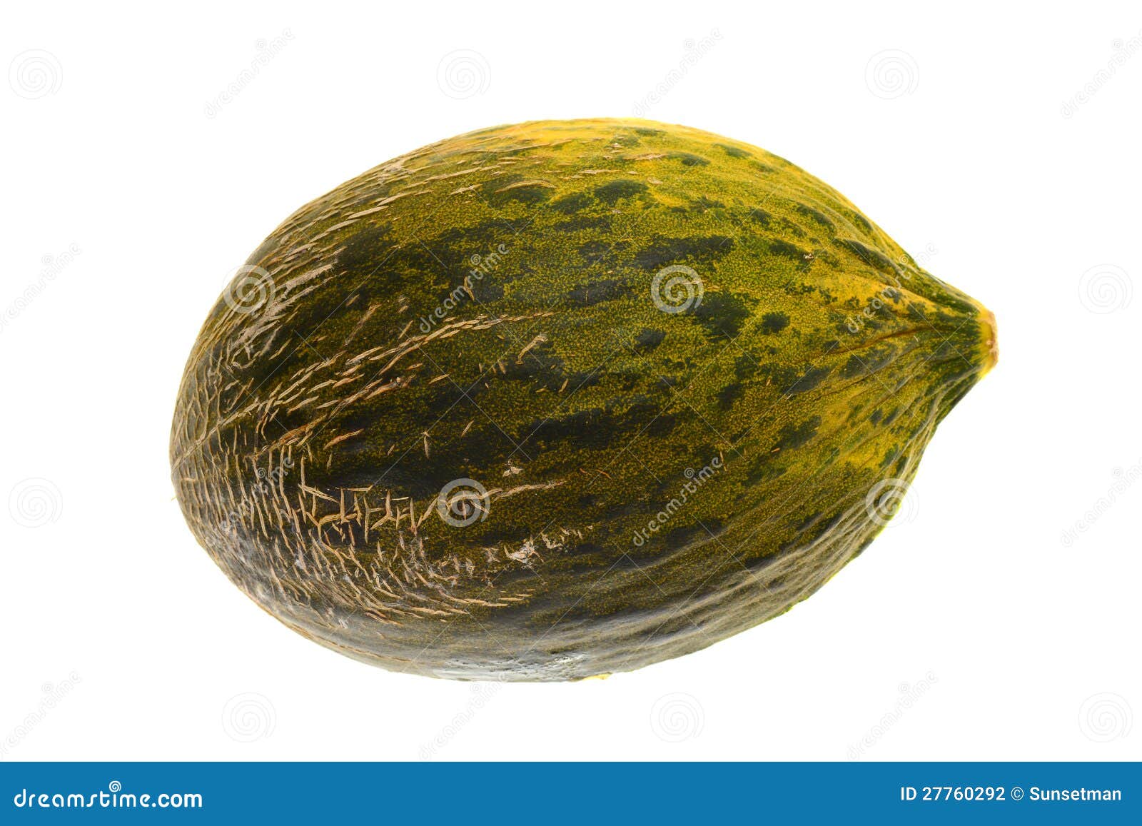 Rock Melon stock photo. Image of color, vitamin, harvest - 27760292
