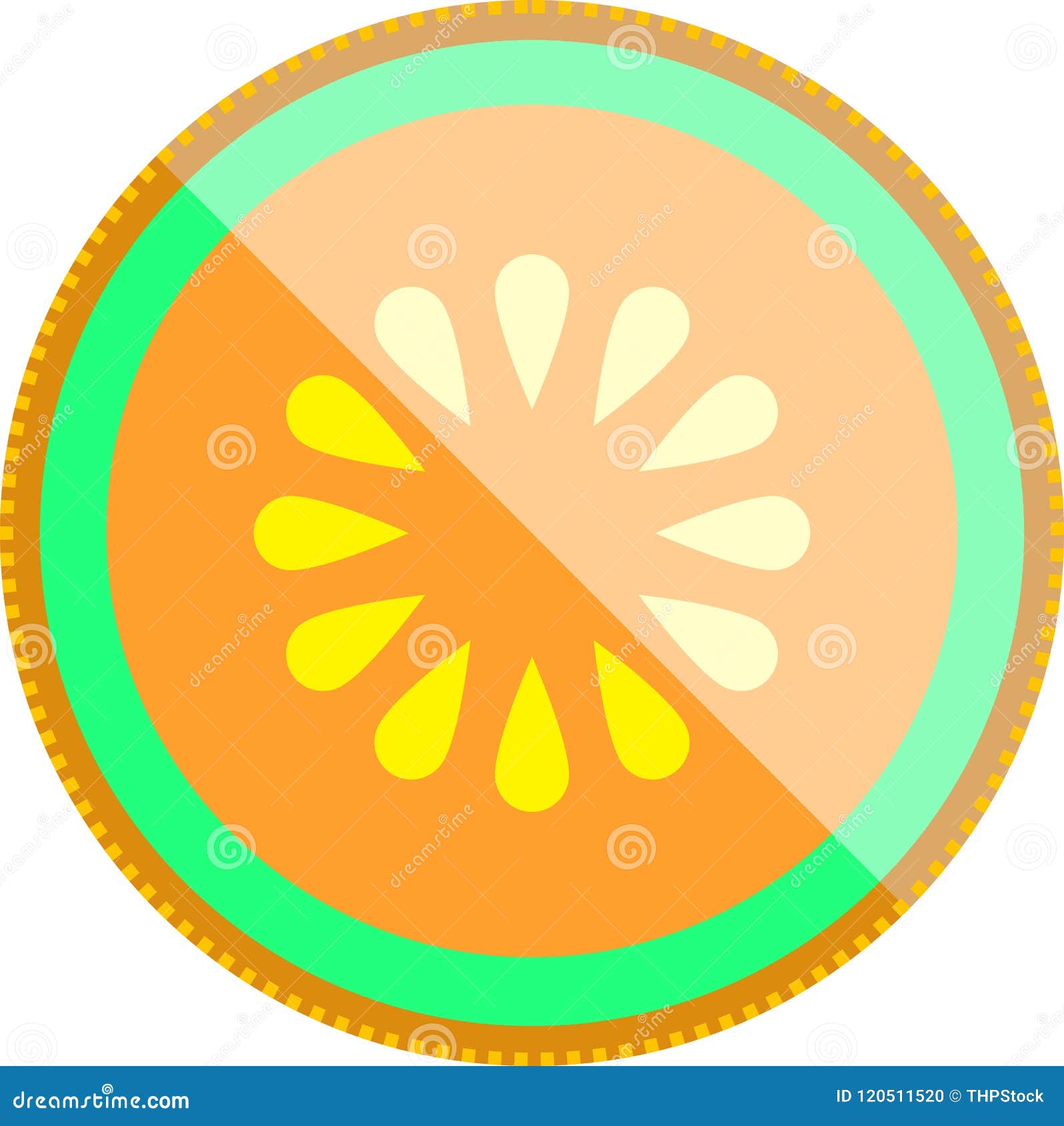 Rock Melon Fruit Halved Vector Isolated Stock Vector - Illustration of ...