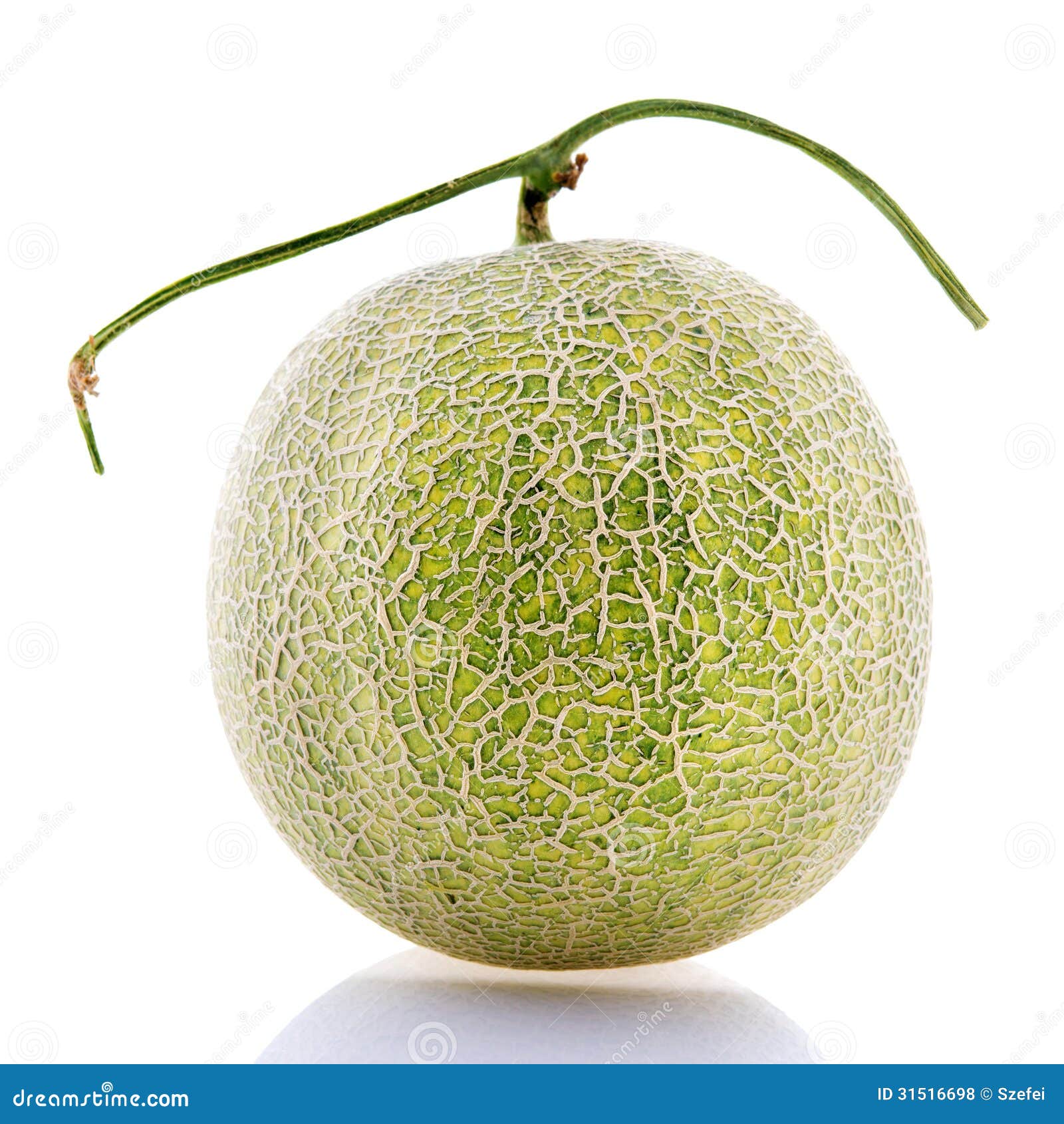 Rock Melon fruit. stock photo. Image of isolated, cantaloupe - 31516698