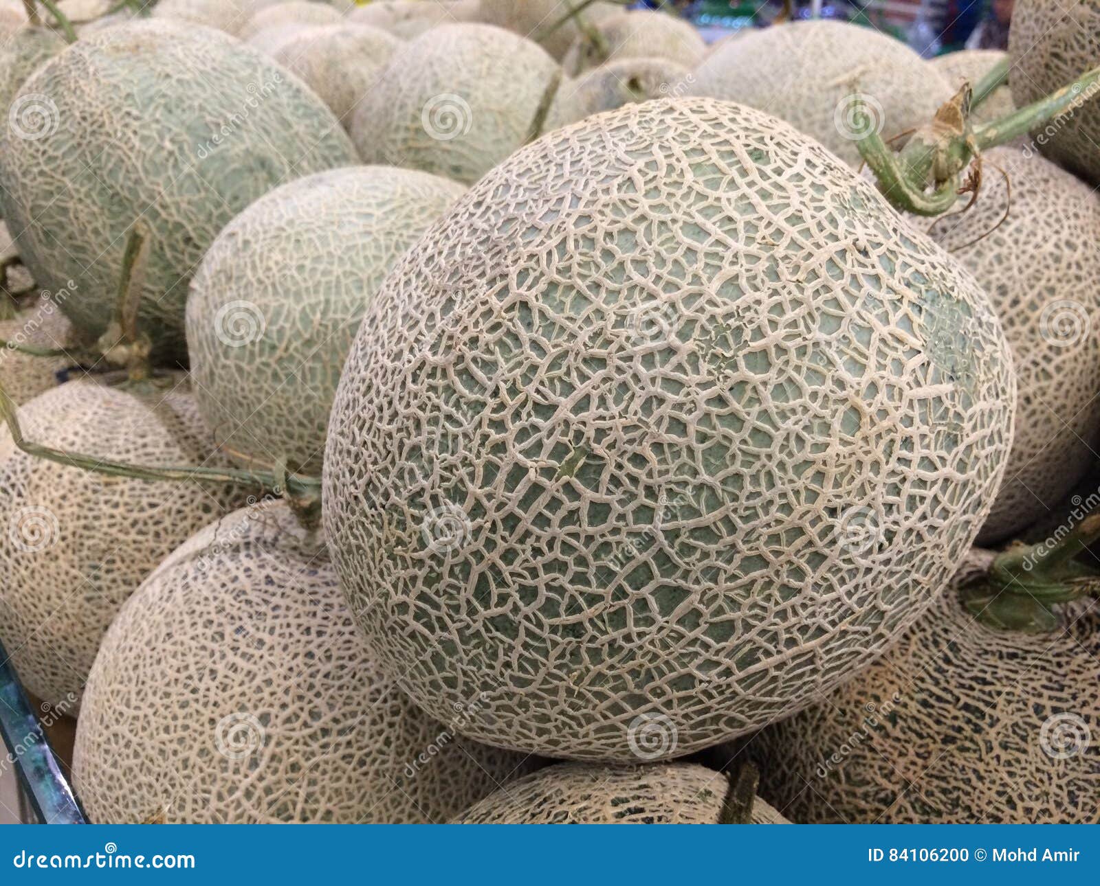 Rock melon stock photo. Image of nutrition, vitamins - 84106200