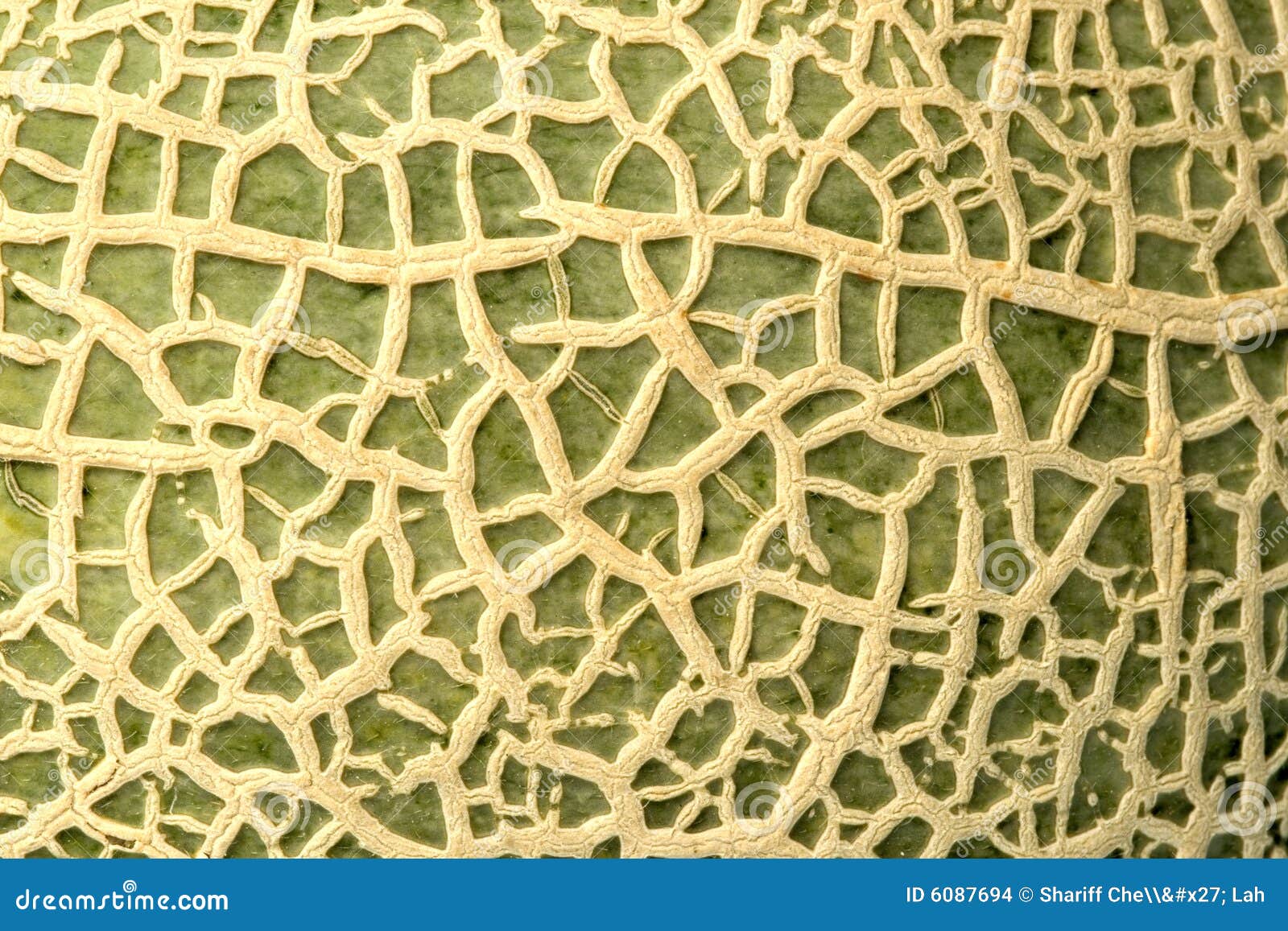 Rock Melon Skin Macro stock photo. Image of close, melons - 6087694
