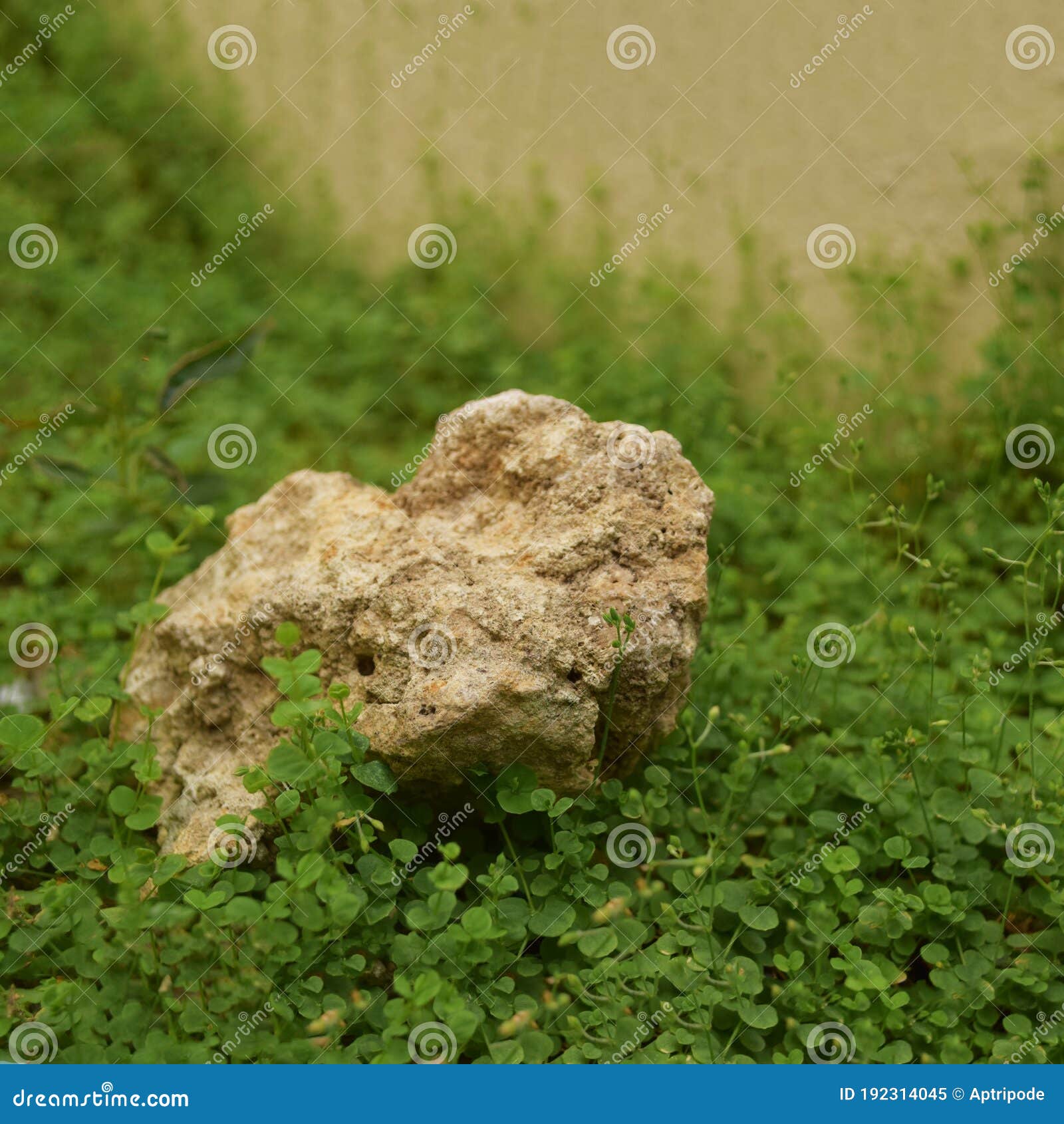 Rock in the grass two stock image. Image of betwen, contrast - 192314045