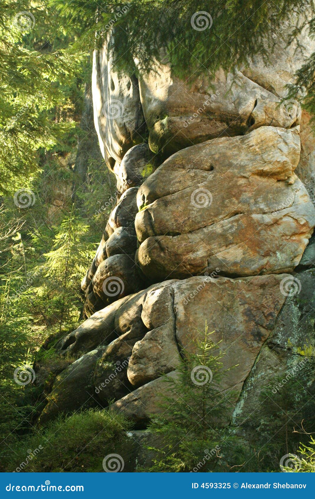 Rock in mist of forest stock image. Image of foliage, natural - 4593325