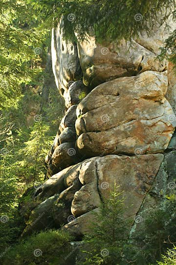 Rock in mist of forest stock image. Image of foliage, natural - 4593325