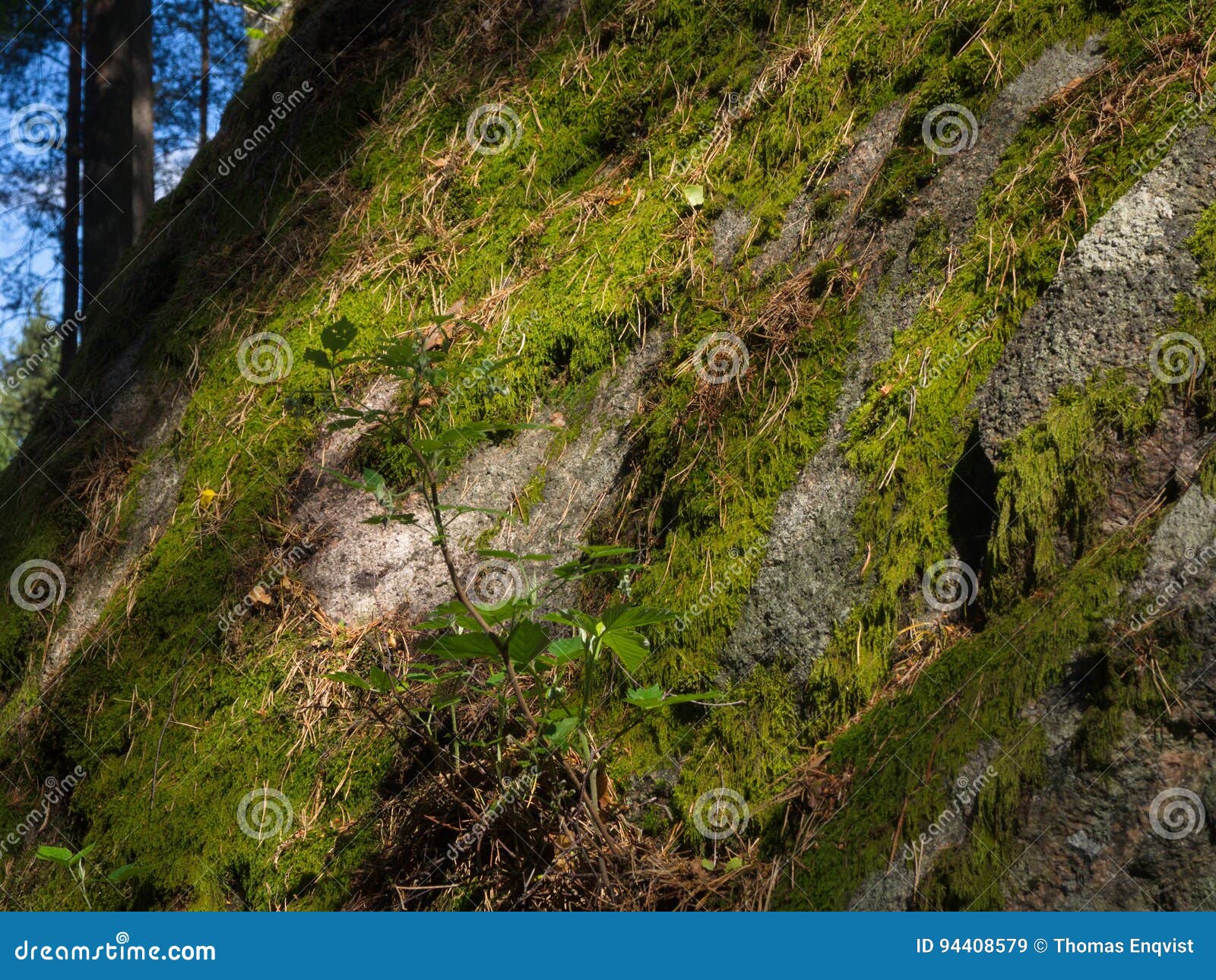 Rock with moss stock image. Image of color, abstract - 94408579