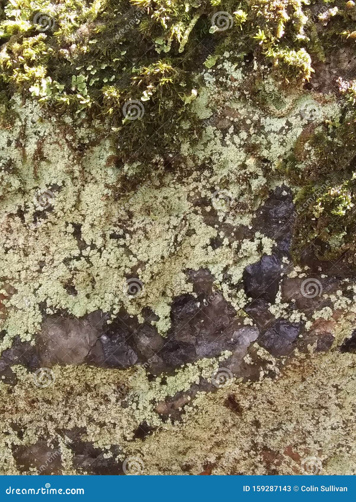 Rock with moss stock image. Image of moss, stone, rock - 159287143