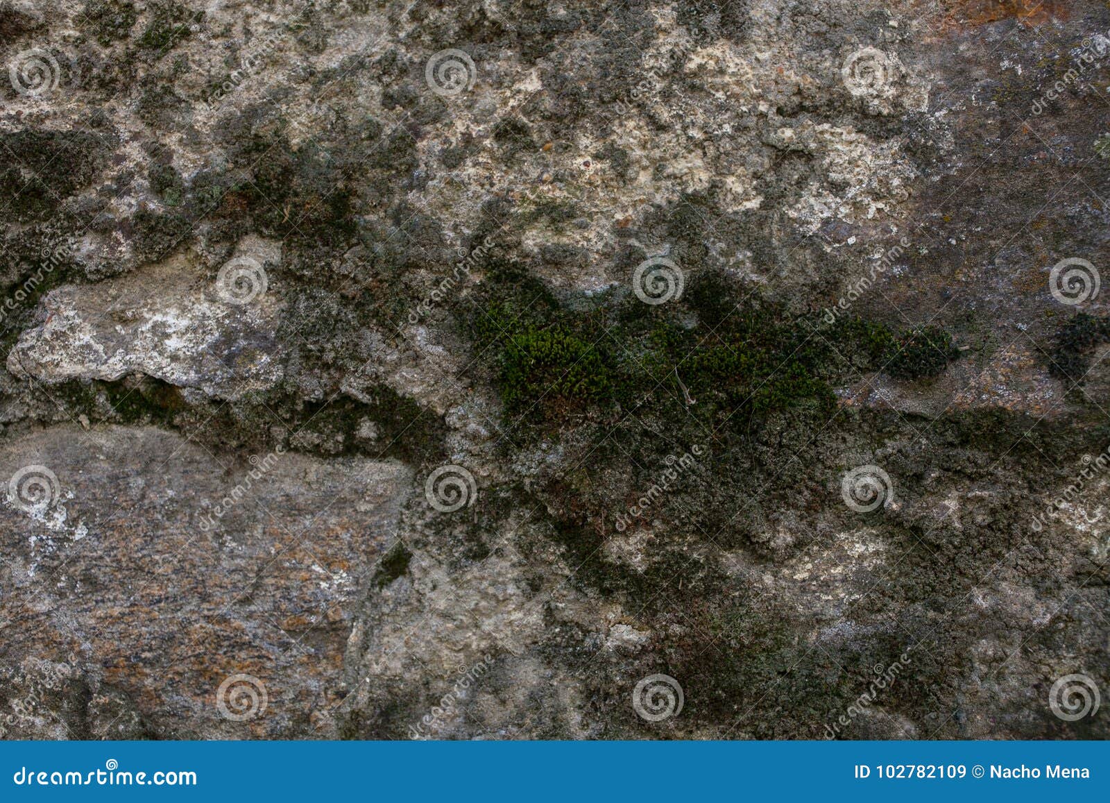 Rock and Moss Texture and Background. Mossy Stone Background. Abstract ...