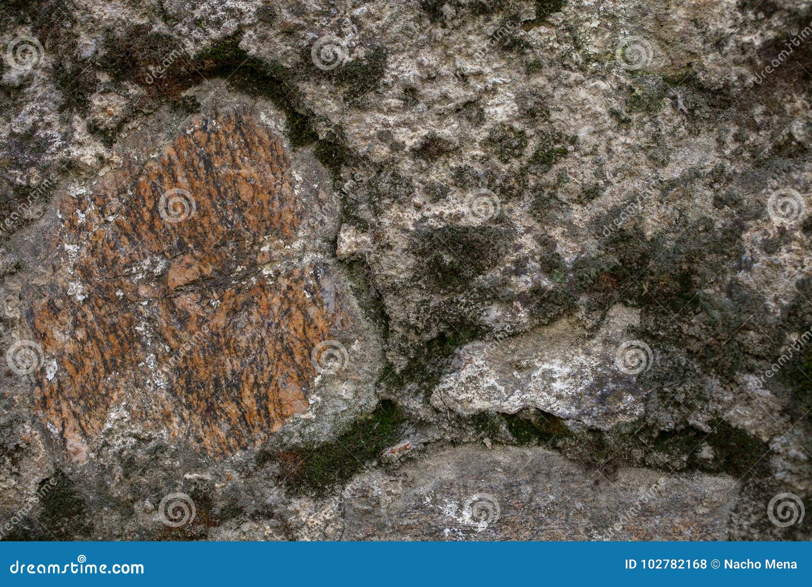 Rock and Moss Texture and Background. Mossy Stone Background. Abstract ...