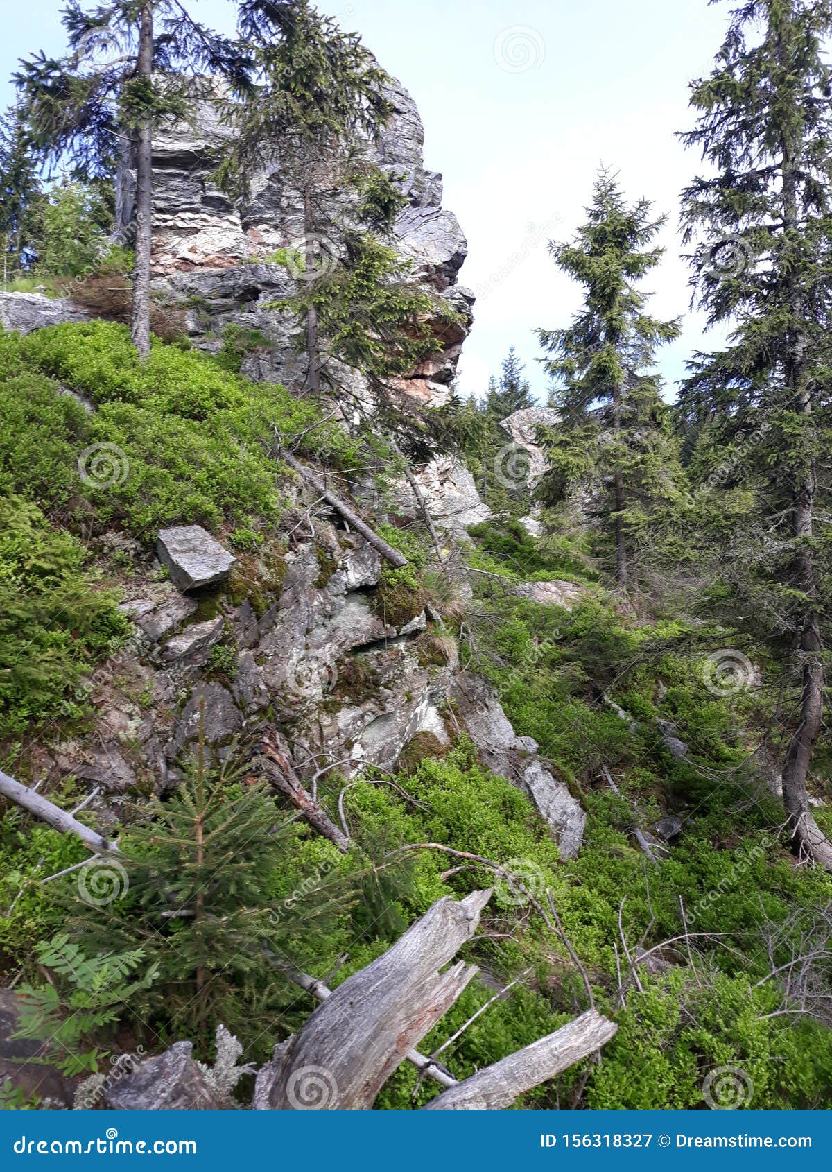 Rock Mountain Forest Moravian Silesia Stock Image - Image of rock ...