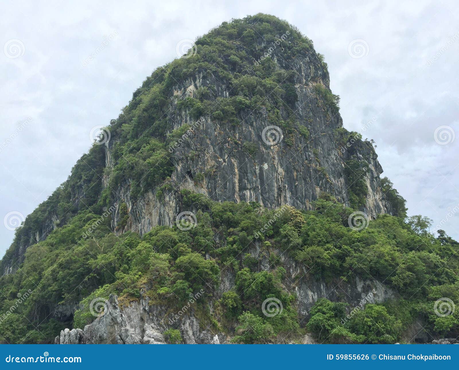 Rock Mountain Full Covered by Green Trees Stock Photo - Image of nature ...