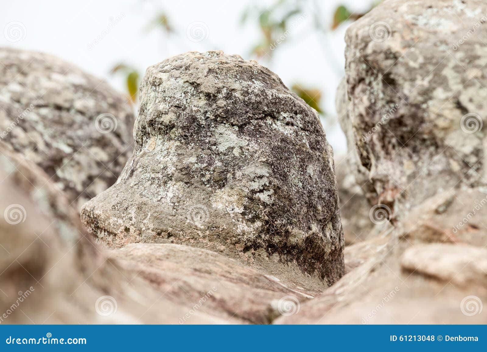 Rock in the mountain stock photo. Image of famous, tree - 61213048