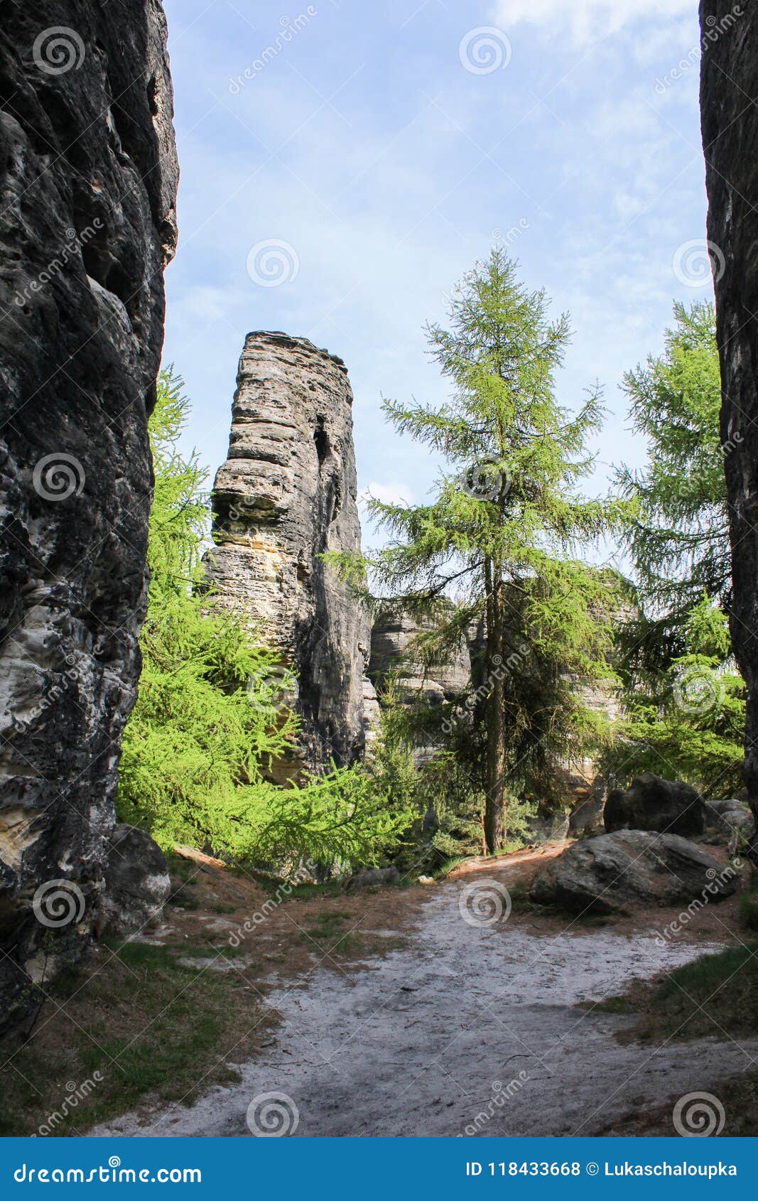 Rock Mountain in Tisa with Trees. Czech Landscape Stock Photo - Image ...