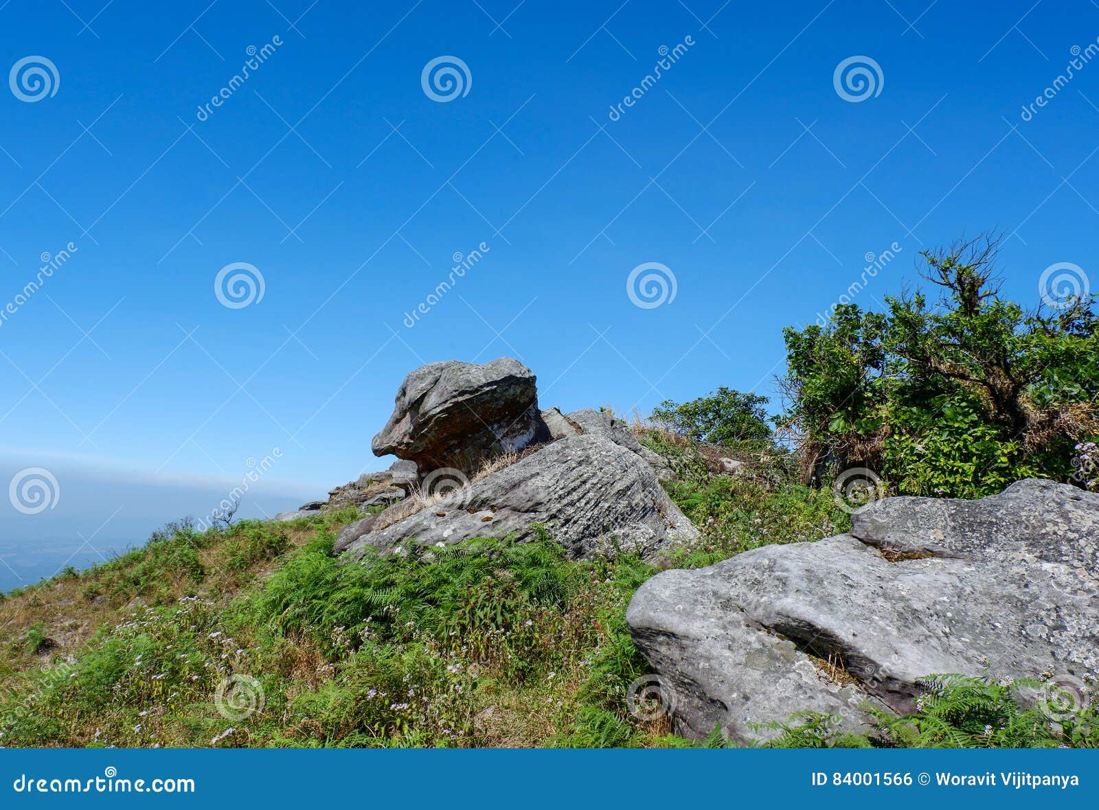 Rock on Mountain stock photo. Image of nice, grass, nature - 84001566