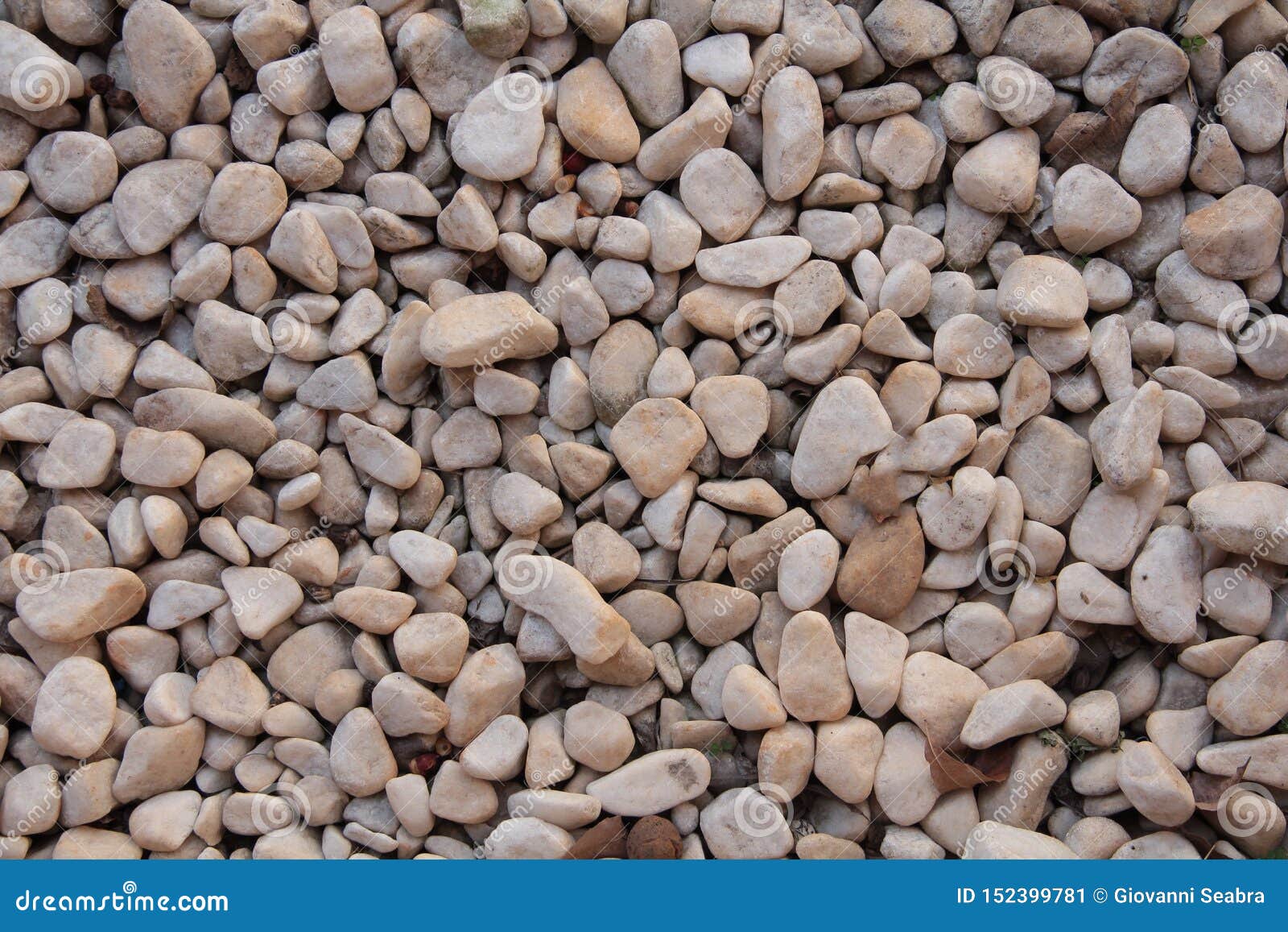 Natural Decorative Stone for Garden Stock Image - Image of healthy ...