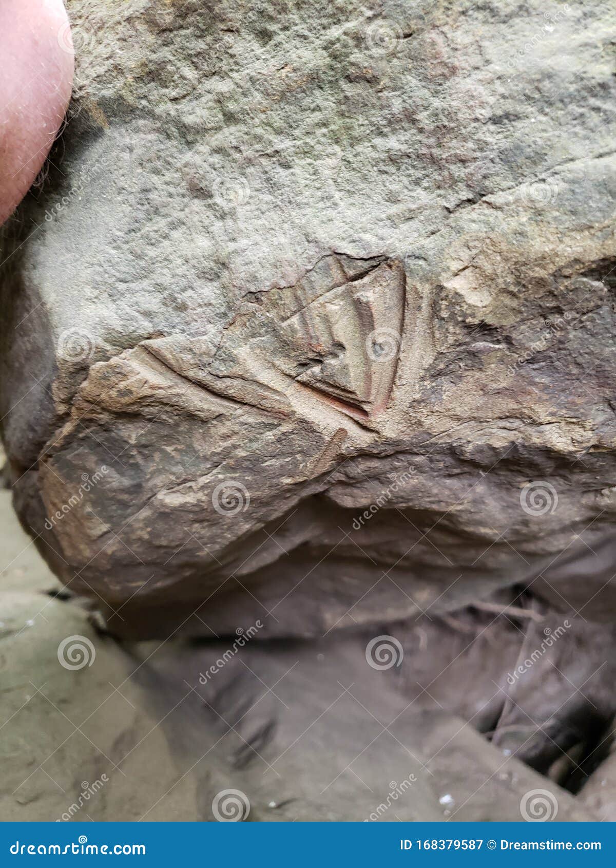 Rock with natural design stock image. Image of natural - 168379587