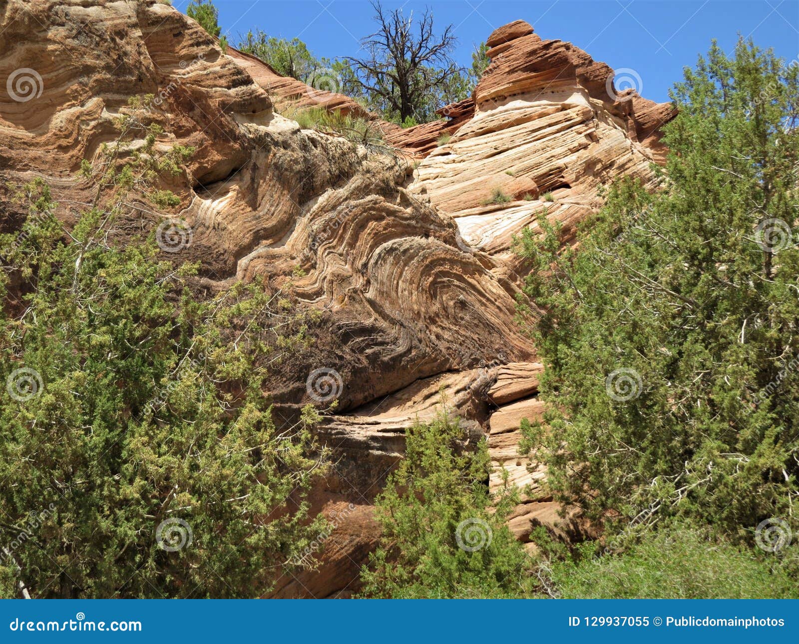Rock, Nature Reserve, Bedrock, Vegetation Picture. Image: 129937055