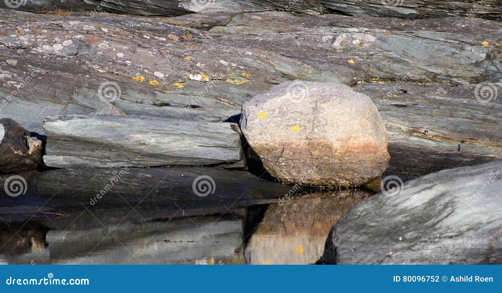 Dipping Rock Strata On Beach Royalty-Free Stock Photo | CartoonDealer ...