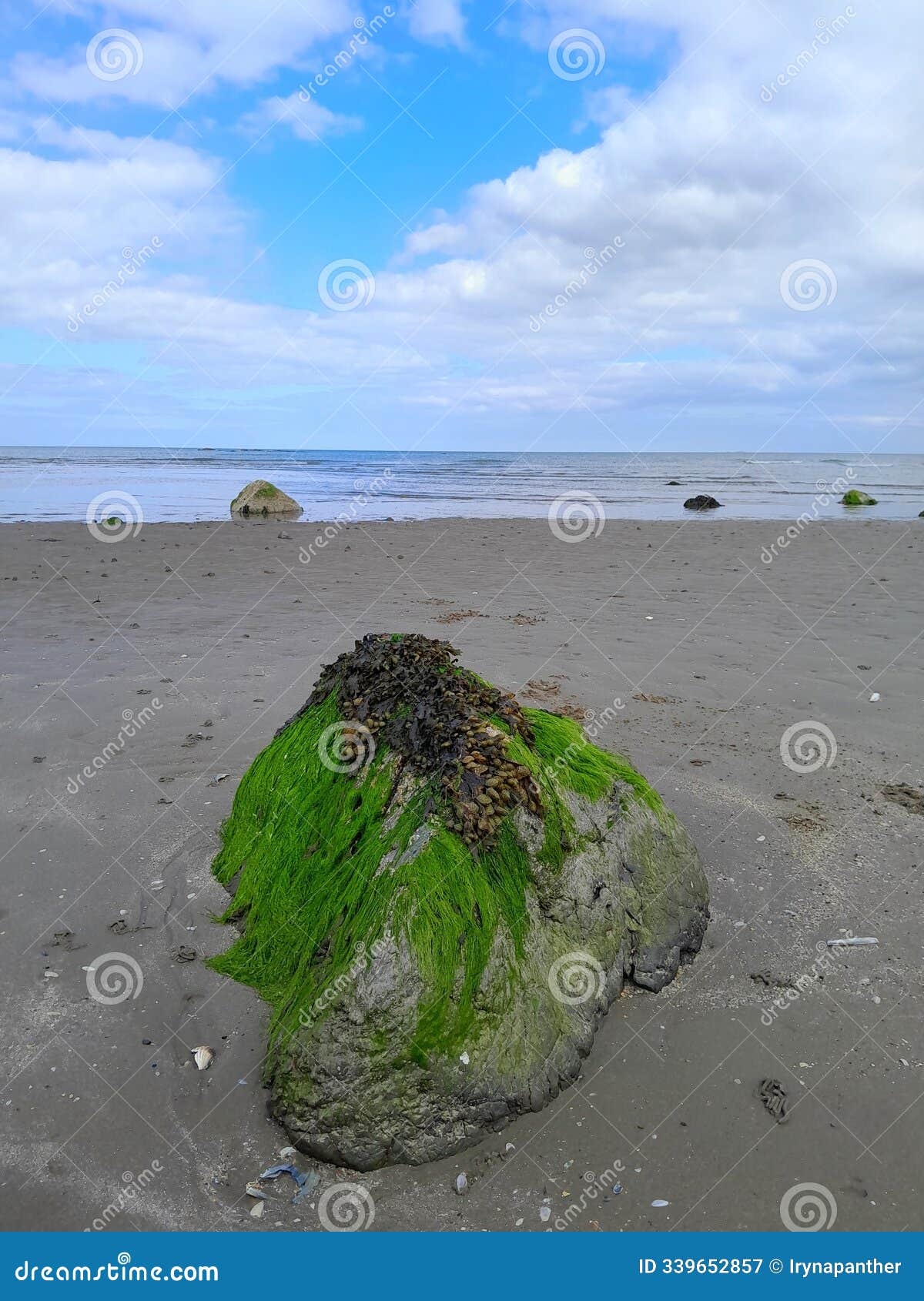 Rock Off the Seaweed 5 Minutes before High Tide Stock Image - Image of ...