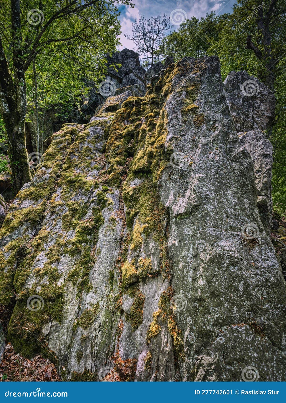 Rock Overgrown with Green Moss on a Hill in a Forest Stock Image ...