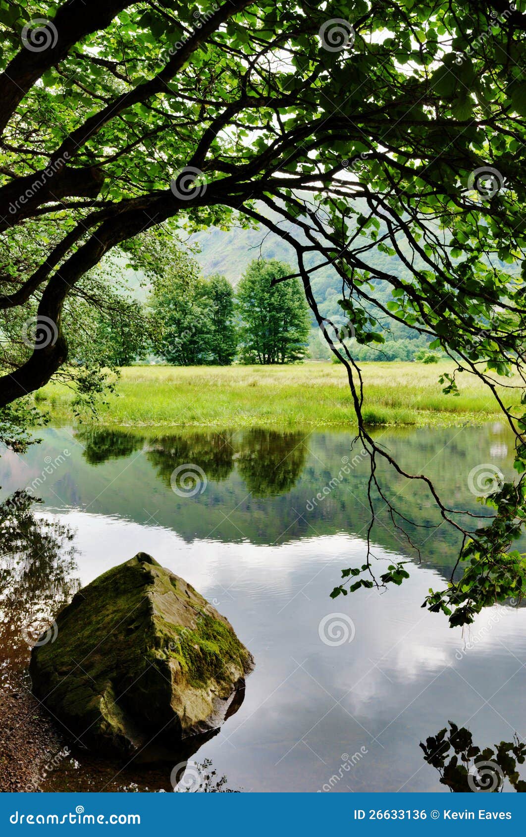 Rock and Overhanging Tree by Lake Stock Photo - Image of lake ...